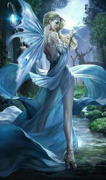 images fees elfes anges